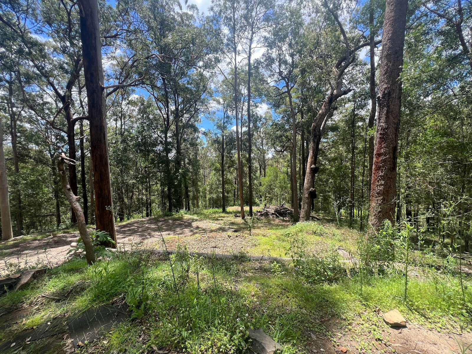 Forest Nook - Hipcamp in Witheren, Queensland