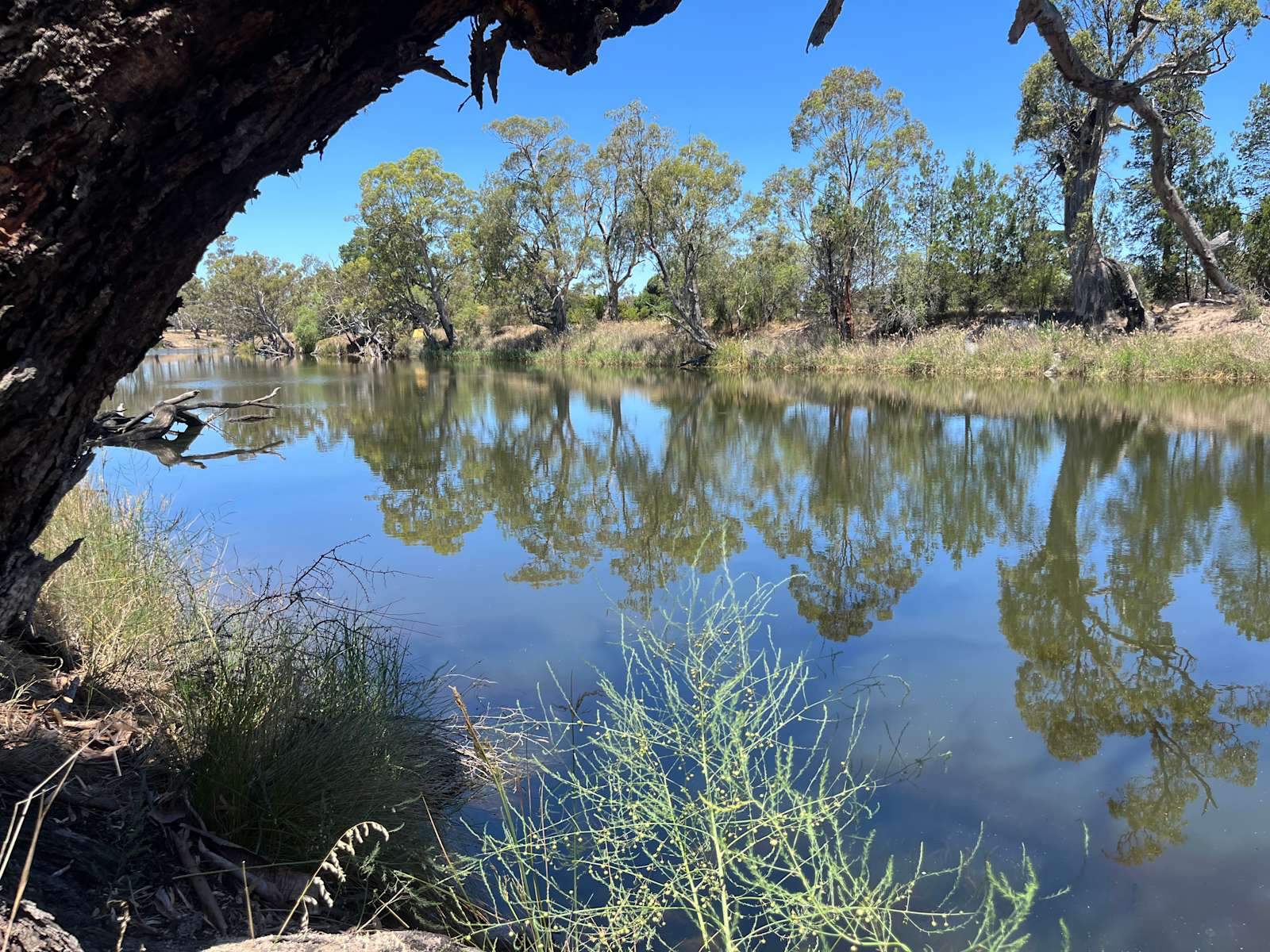 Wimmera River Heights - Hipcamp in Dimboola, Victoria