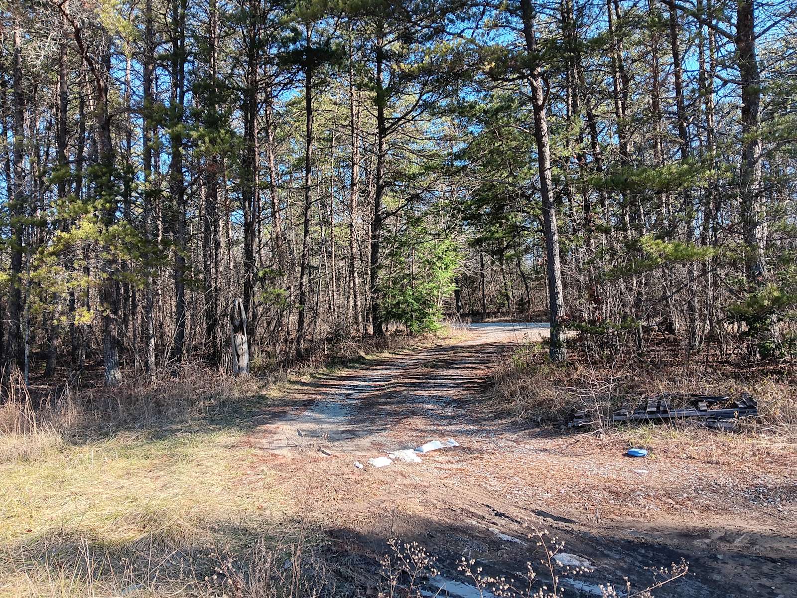 Silver's Landing - Hipcamp in Lancing, Tennessee