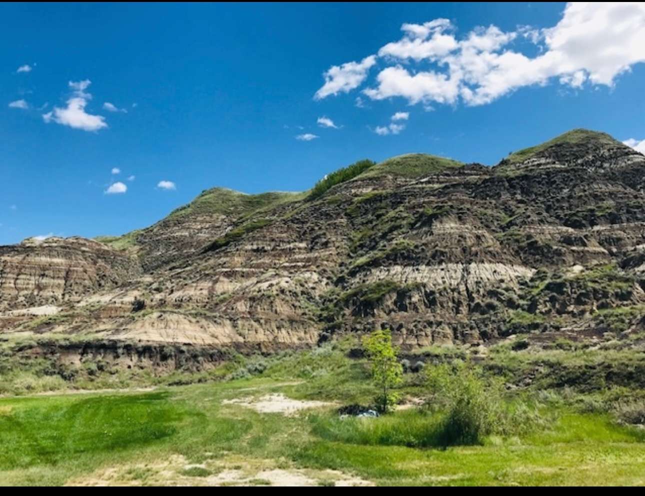 Raptor Valley Farm - Hipcamp in Drumheller, Alberta