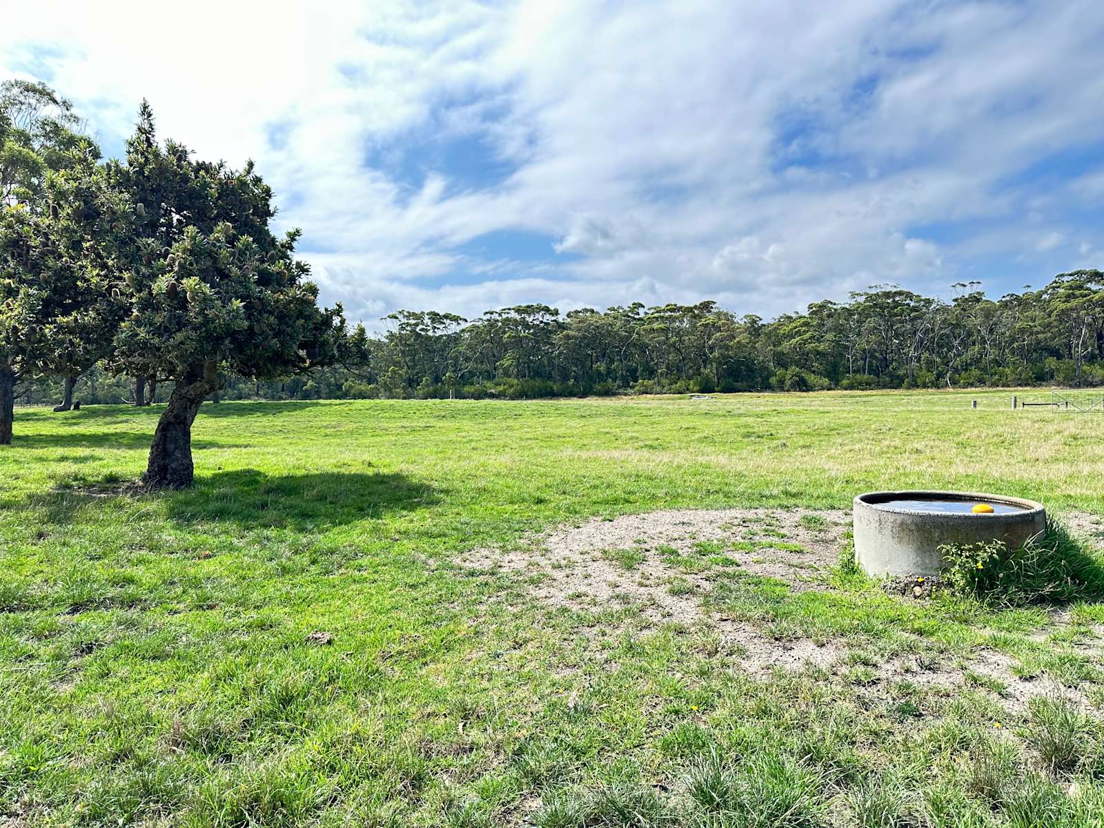 Ridge Park - Hipcamp in Marlo, Victoria