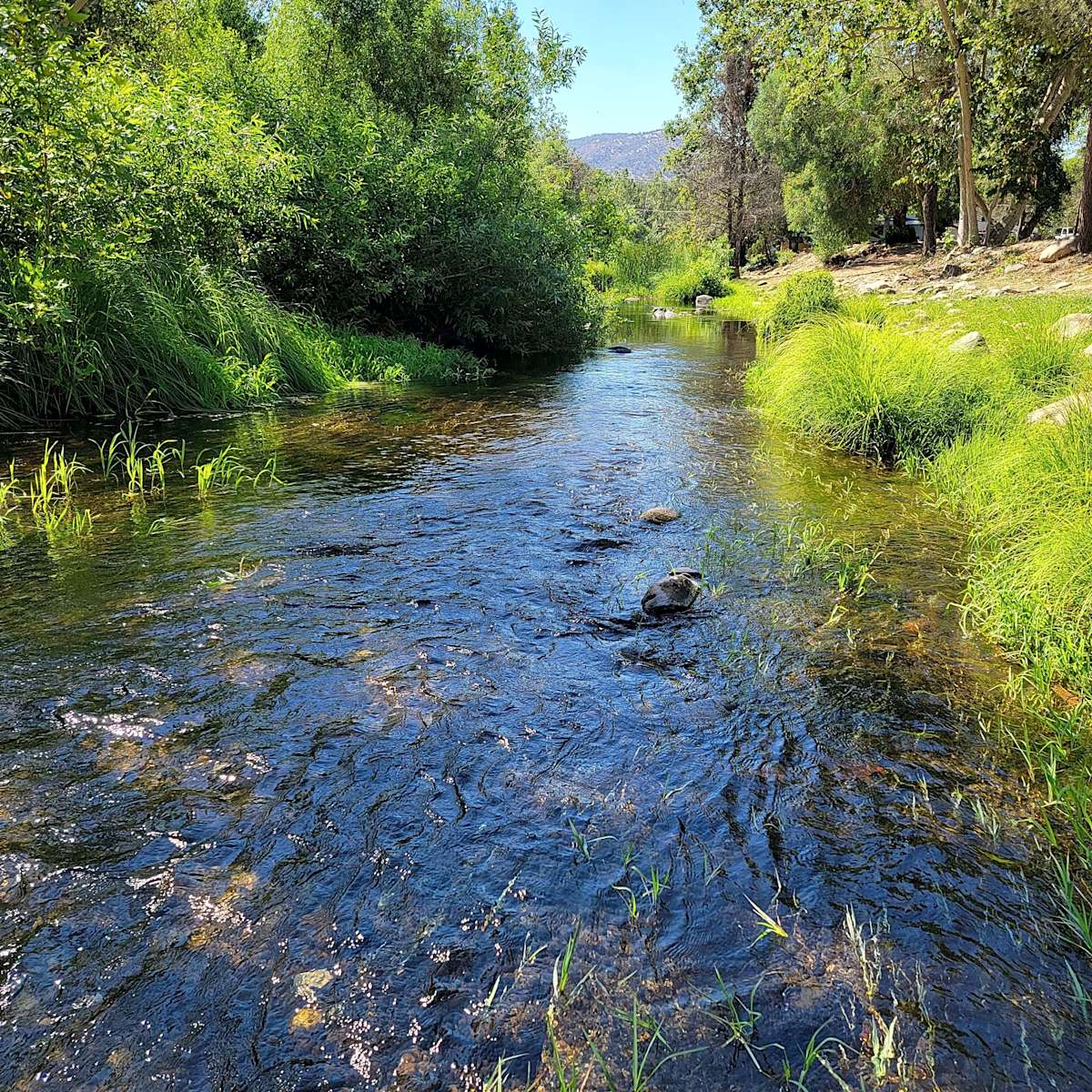 Sequoia RV Ranch - Hipcamp in Three Rivers, California
