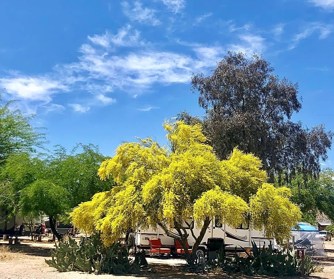 Wild West Ranch and RV Resort - Hipcamp in Maricopa, Arizona