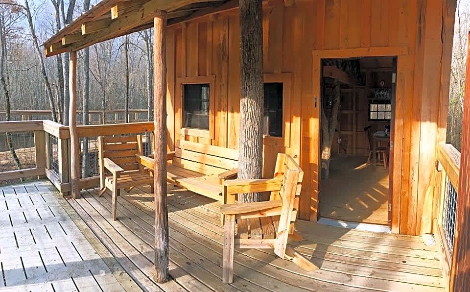 Cashie River Treehouses and Campground - Hipcamp in Windsor, North Carolina