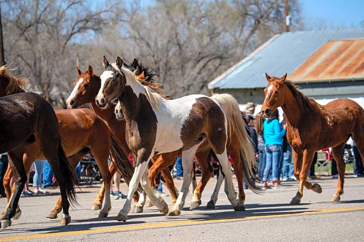 Maybell Park - Hipcamp in Maybell, Colorado