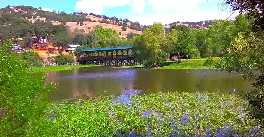 Island RV Park - Hipcamp in Clearlake Oaks, California