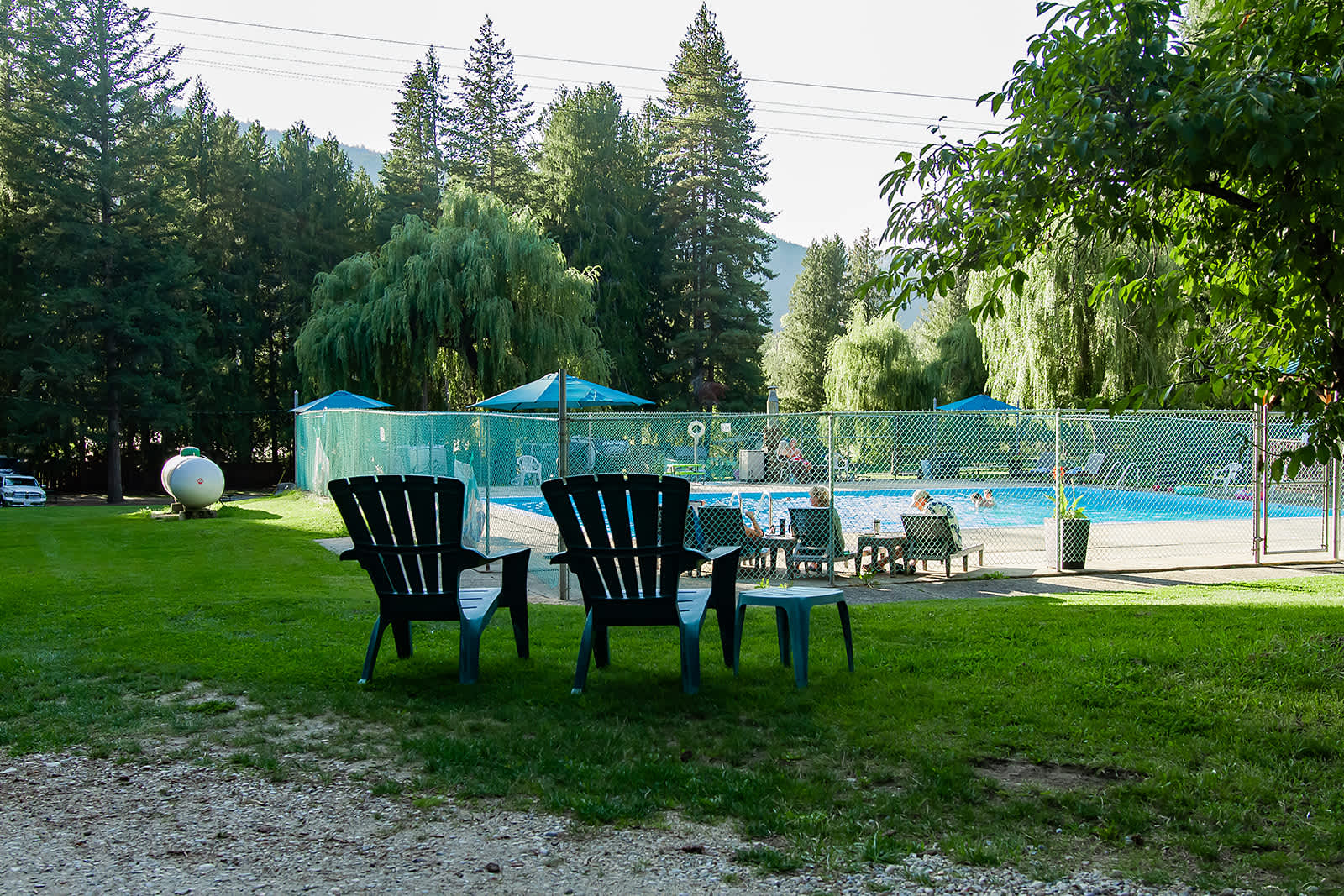 Whispering Pines near Mara Lake - Hipcamp in Mara, British Columbia