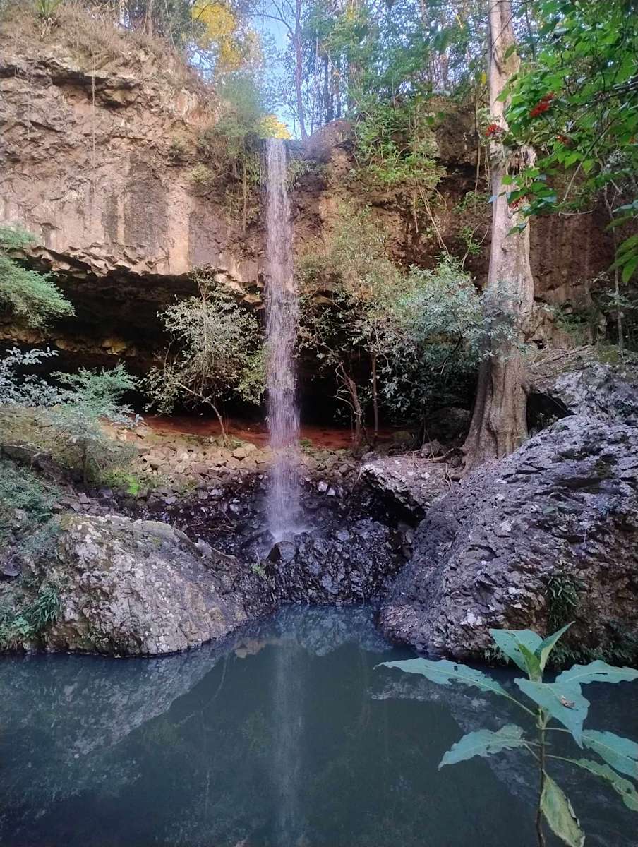 Nightcap Falls - Hipcamp in Whian Whian, New South Wales