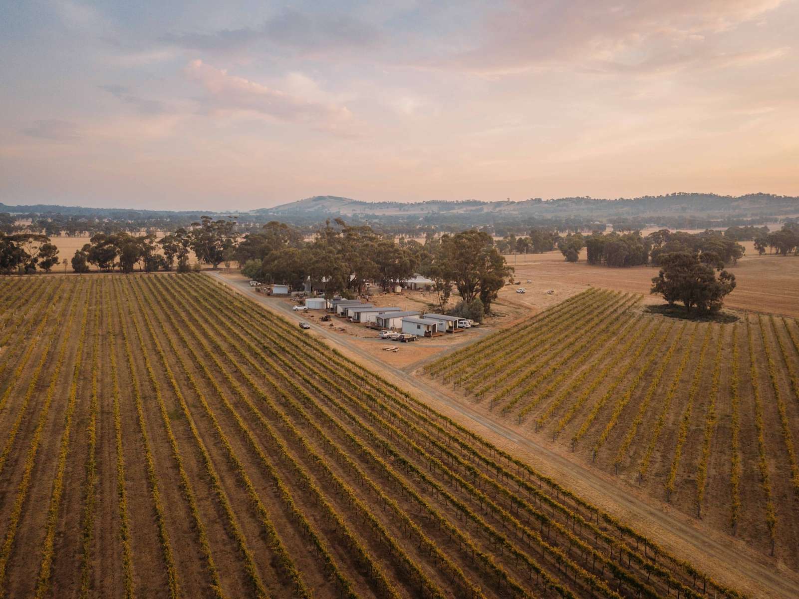 The Shiraz Republic - Hipcamp in Cornella, Victoria