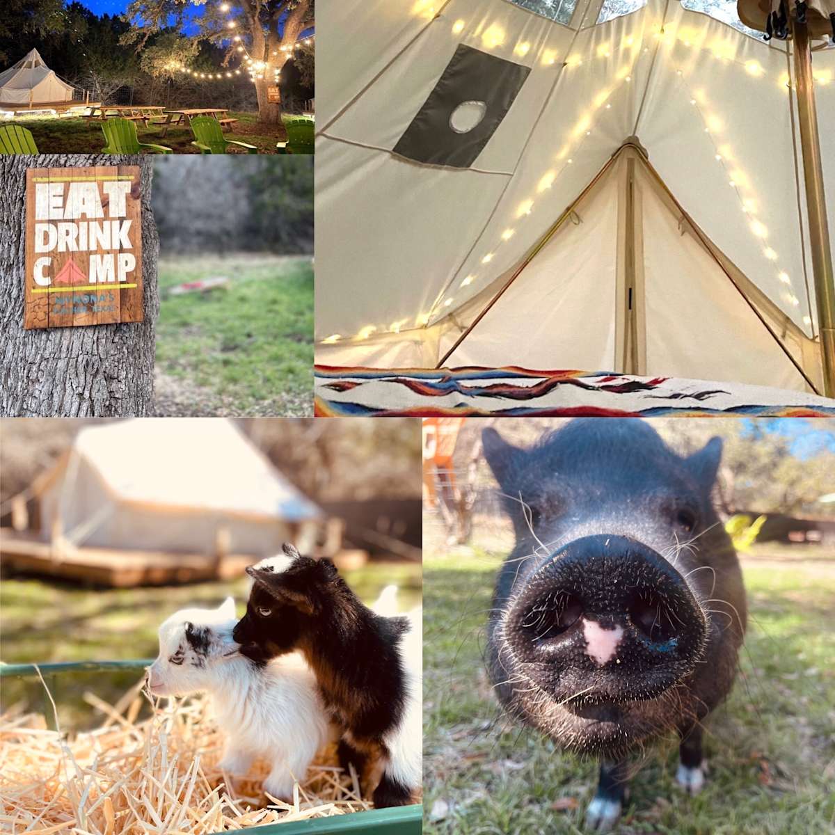 Hill Country Micro-Farm Glamping - Hipcamp in Fischer, Texas