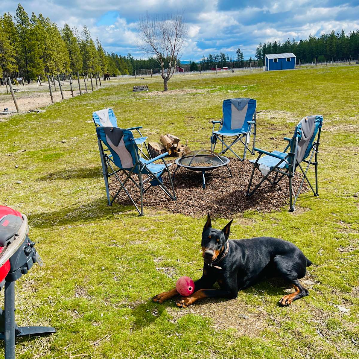 Funny Farm Homestead - Hipcamp in Cheney, Washington