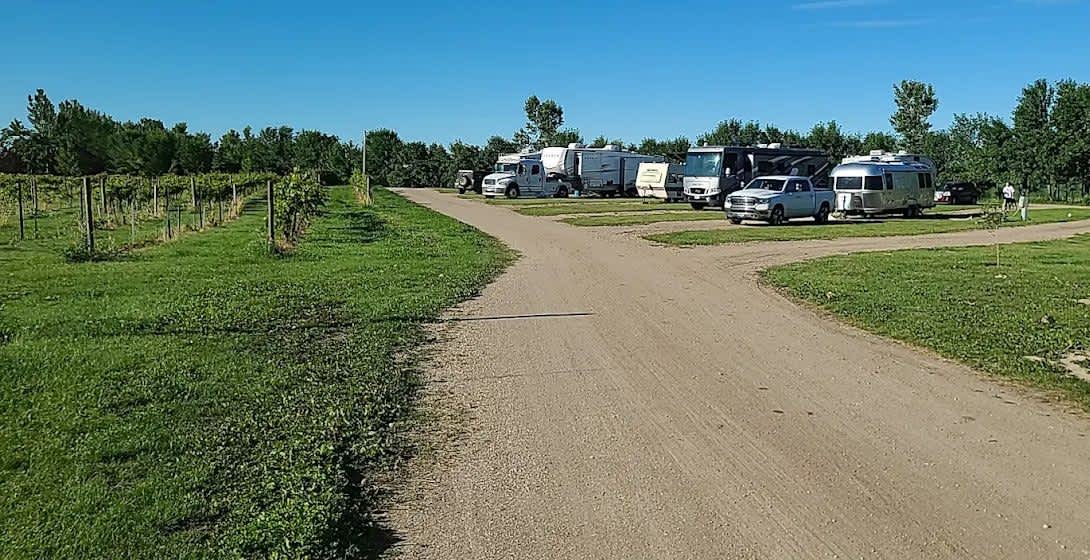 Viking Vines RV Campground - Hipcamp in Buffalo, North Dakota
