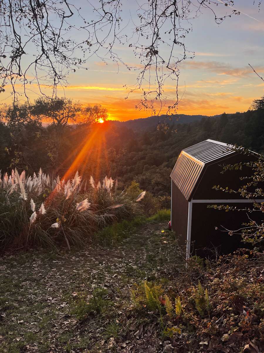 Sacred Owl Land - Hipcamp in Watsonville, California