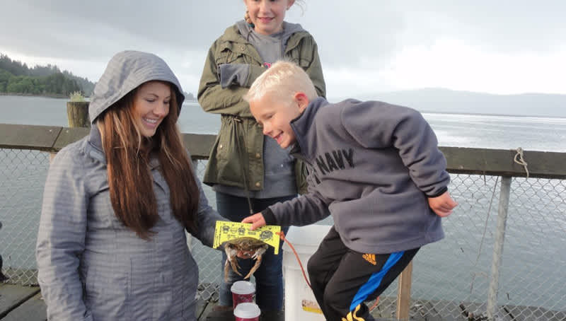 Harborview Inn and RV Park - Hipcamp in Garibaldi, Oregon