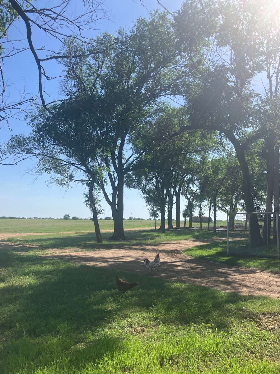 The Farm at Yoder - Hipcamp in Haven, Kansas