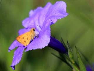 Log Cabin RV Park - Hipcamp in Jasper, Texas