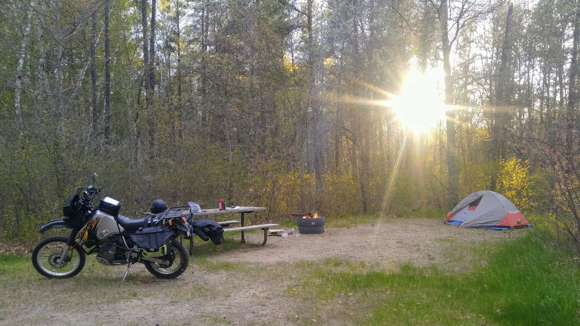 Huntersville Forest Campground - Hipcamp in Menahga, Minnesota