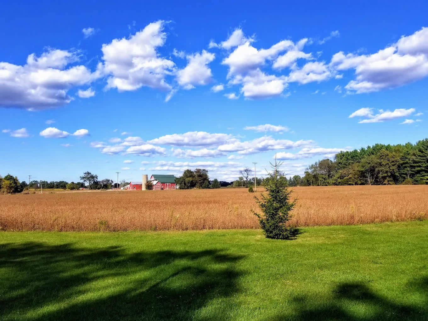 Twin Pine Campground and Canoe Livery - Hipcamp in Hanover, Michigan