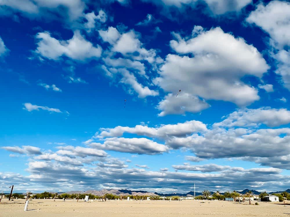 Rice Ranch RV Park - Hipcamp in Quartzsite, Arizona