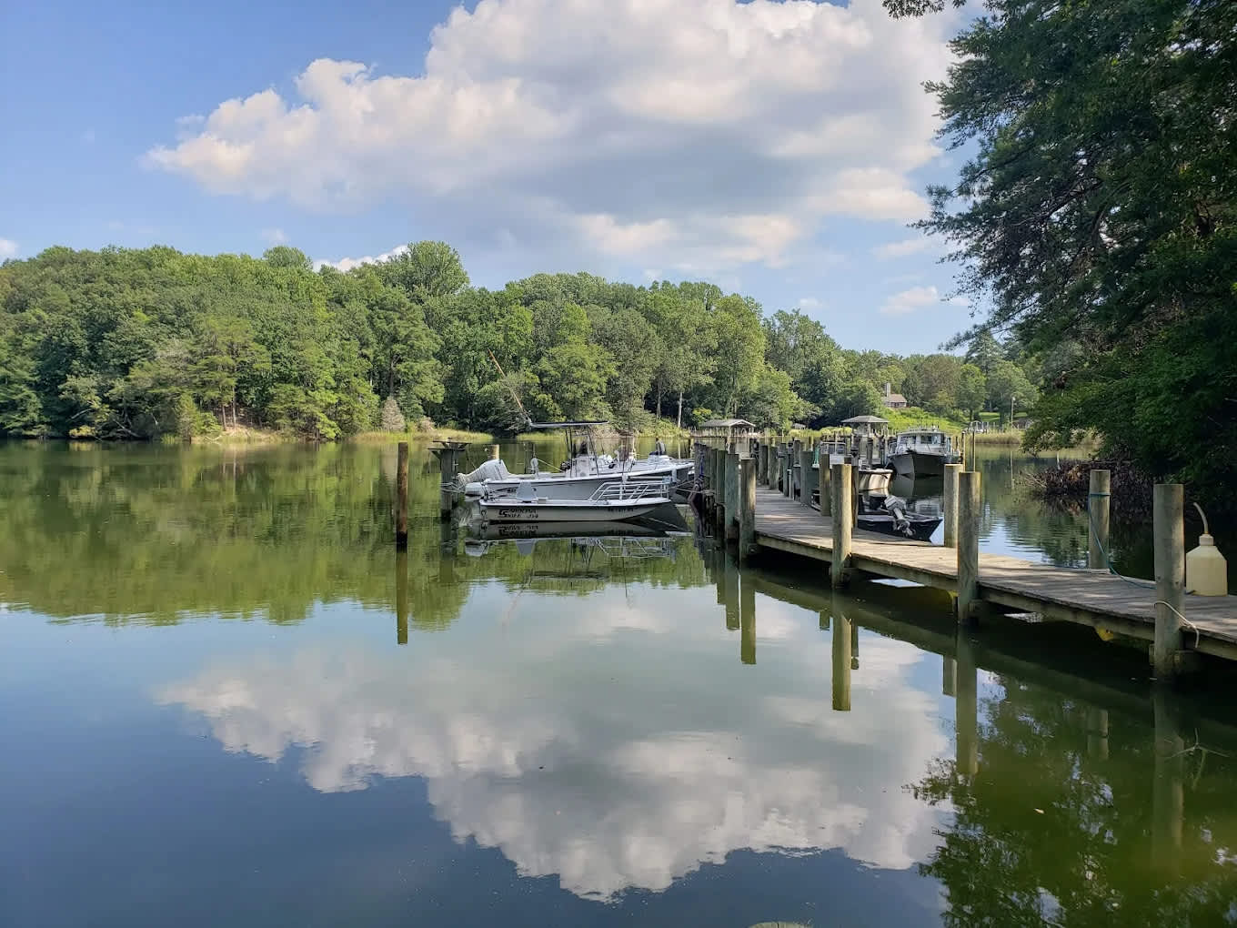 Glebe Point Campground - Hipcamp in Burgess, Virginia