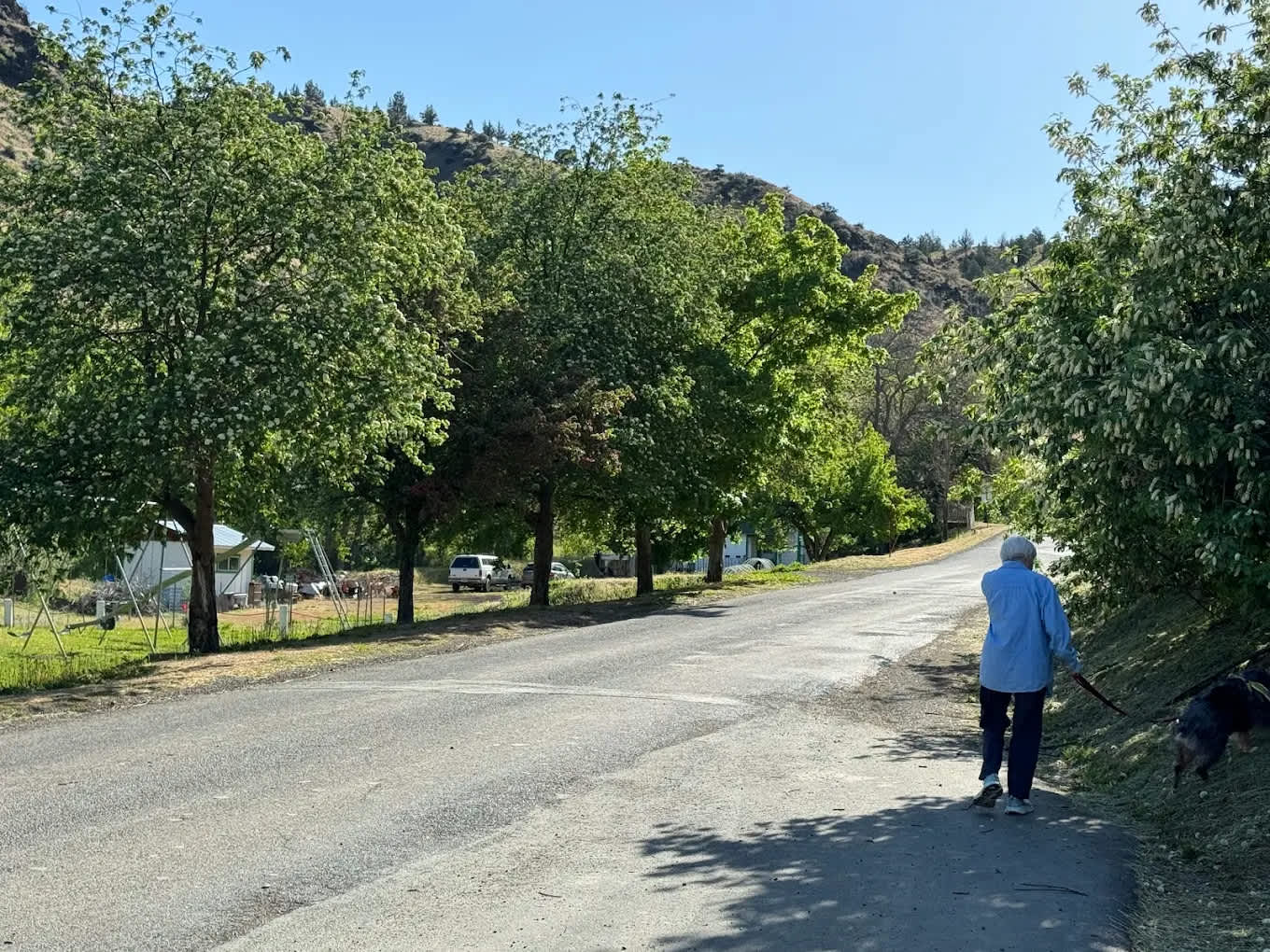 Mitchell City Park - Hipcamp in Mitchell, Oregon