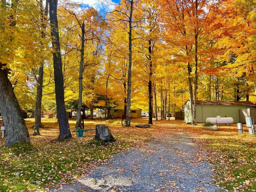 Forest Ridge Campground - Hipcamp in Marienville, Pennsylvania