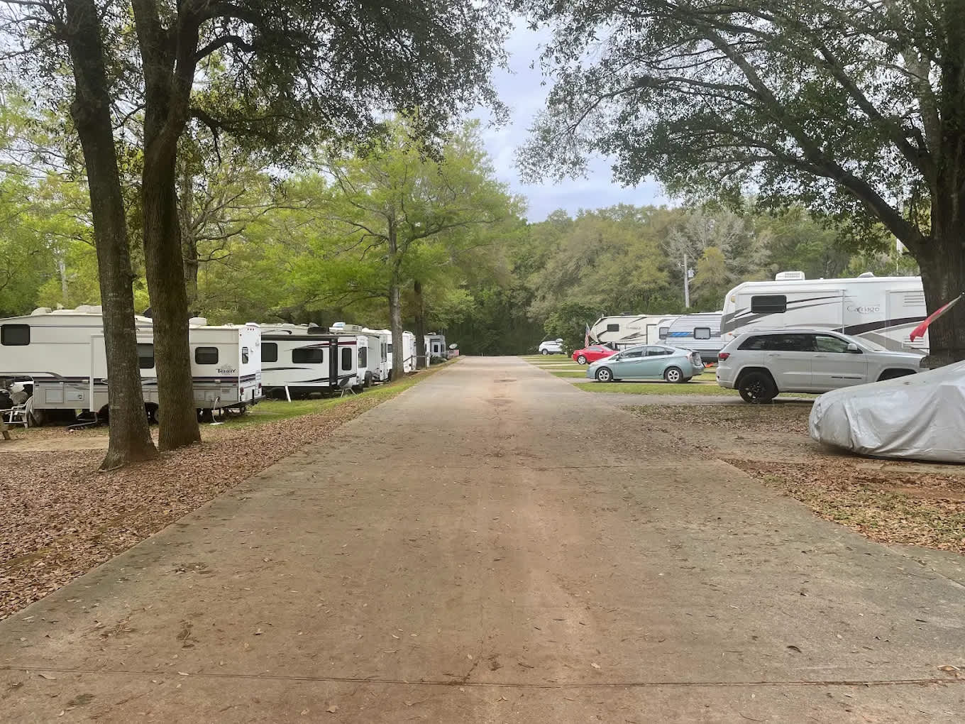 Magnolia Springs RV Hideaway Campground - Hipcamp in Foley, Alabama