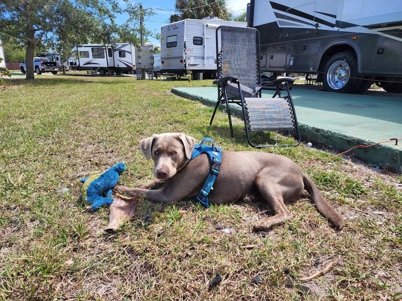 Floridays RV Park - Hipcamp in Hobe Sound, Florida