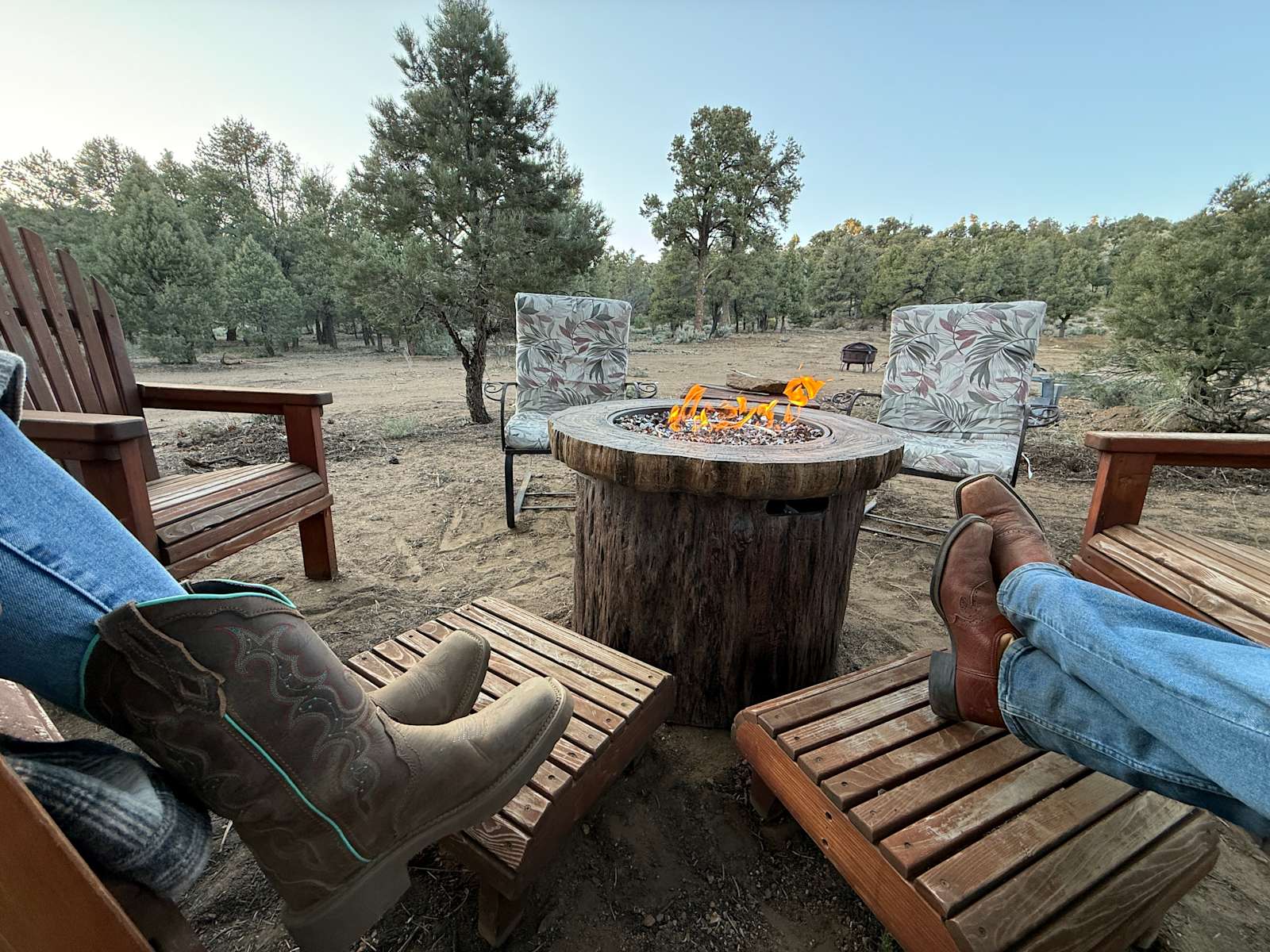 Happy Ass Ranch - Hipcamp in Big Bear City, California