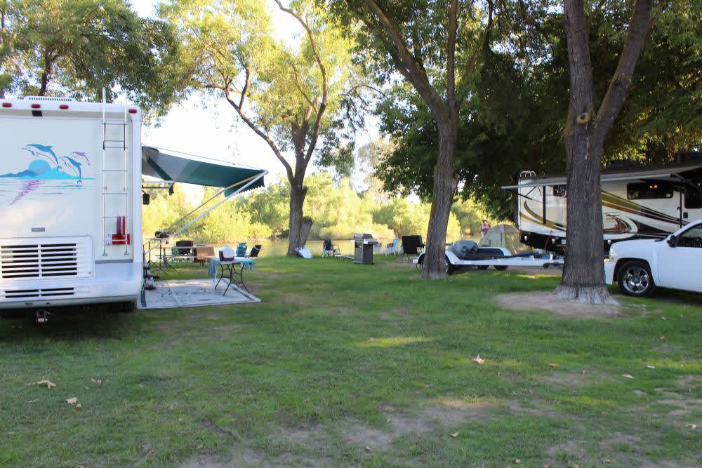 Kings River RV Resort - Hipcamp in Kingsburg, California
