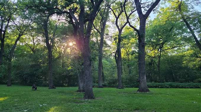 Cold Springs Park - Hipcamp in Lewis, Iowa