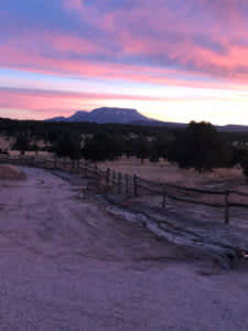 Half Moon Hitch Ranch and RV Park - Hipcamp in Pie Town, New Mexico