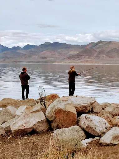 Pyramid Lake Marina RV Park - Hipcamp in Reno, Nevada