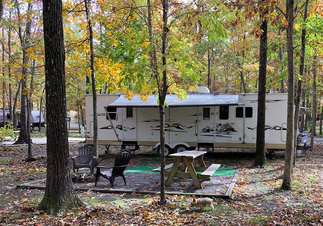 Tranquility Campgrounds - Hipcamp in Mentone, Alabama