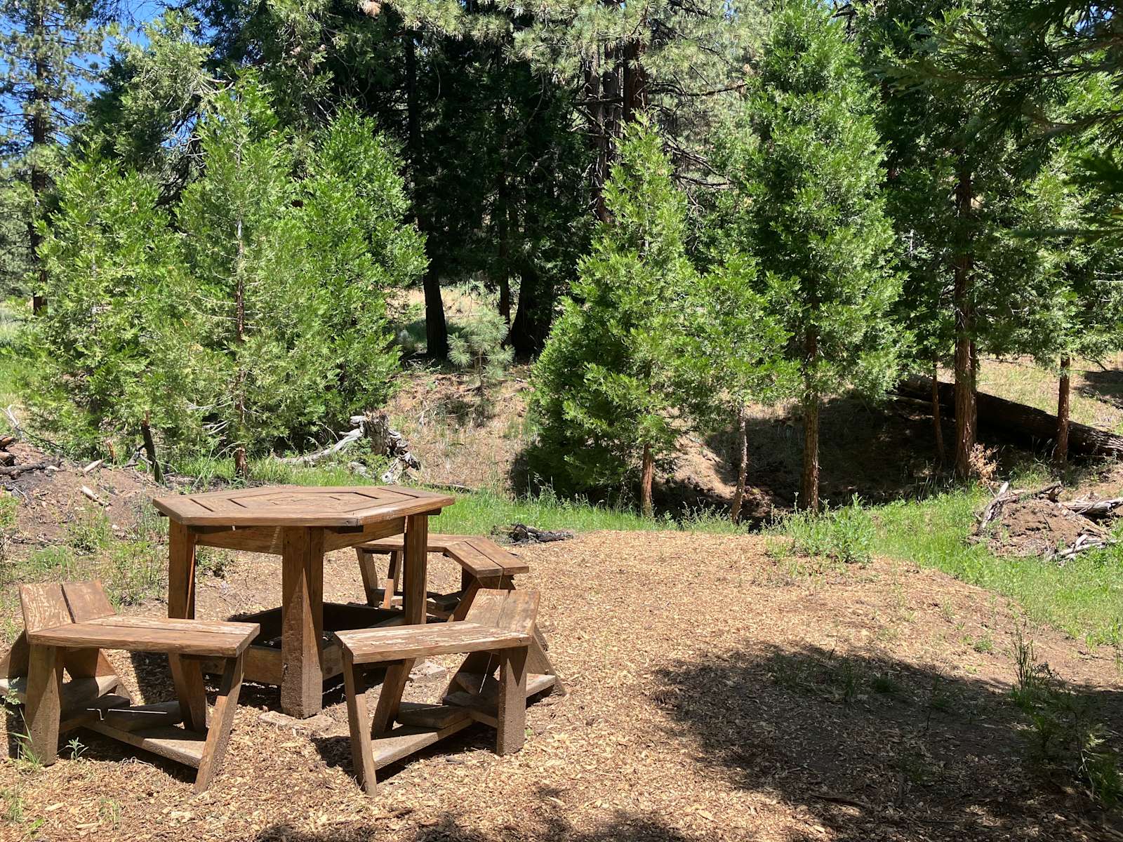 Spring Creek Camping - Hipcamp in Beckwourth, California