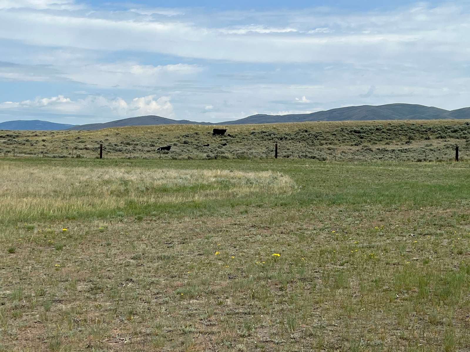 Rocking Tree Farm - Hipcamp in Helena, Montana