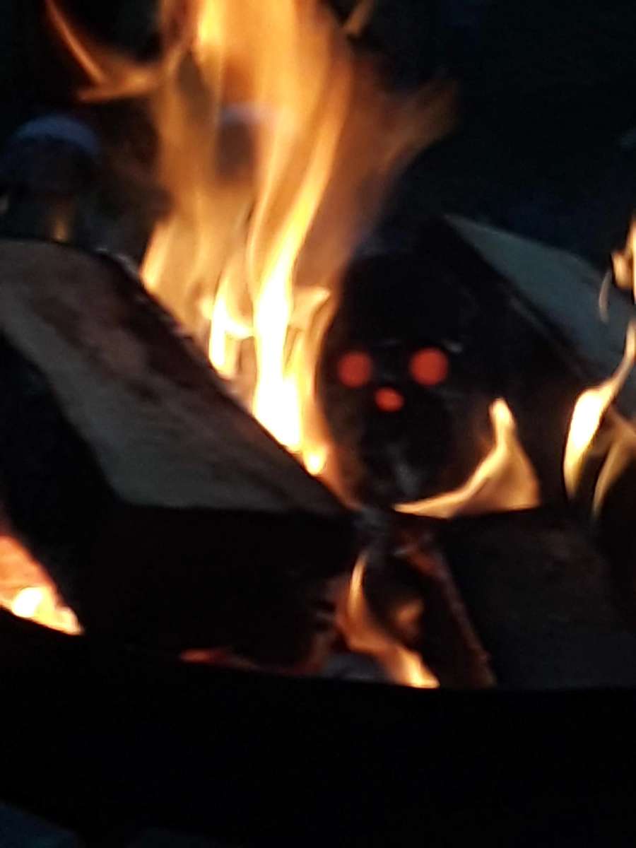 Aspen Acres Campgrounds - Hipcamp in Panama, New York