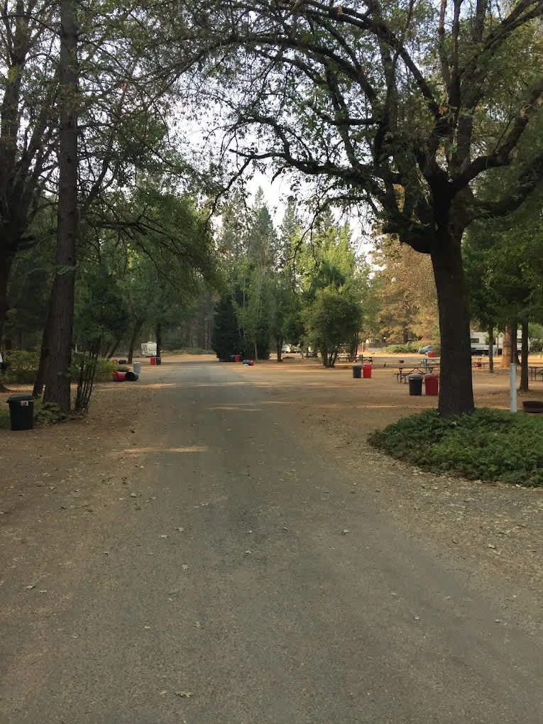 Shasta Lake RV Resort and Campground - Hipcamp in Lakehead, California