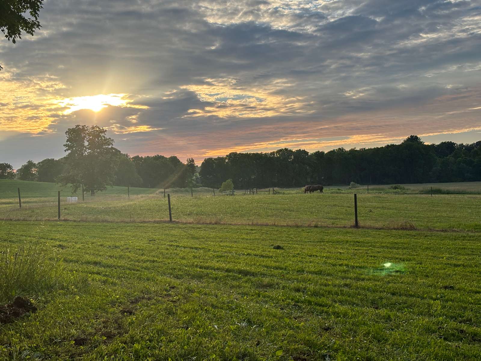 Bloom Fields Secluded Woods - Hipcamp in Bloomfield, New York