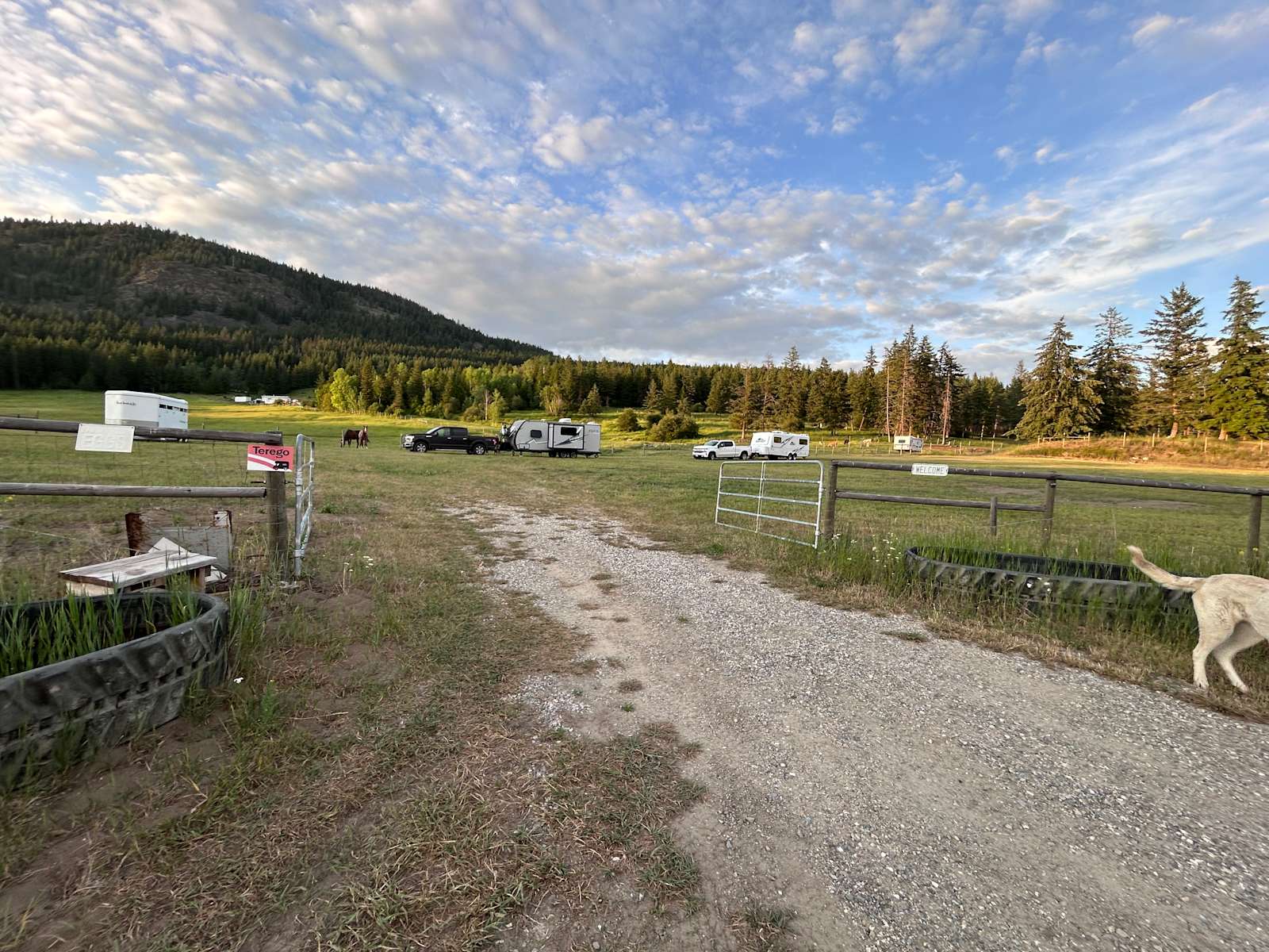Farm camping - Hipcamp in Chase, British Columbia
