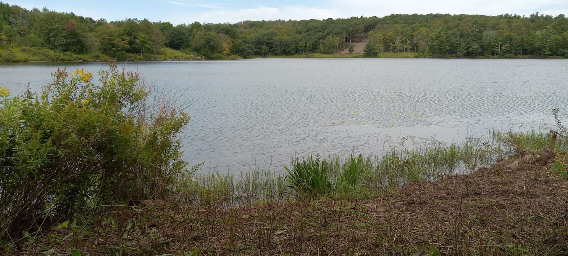 Triangle Lake Campsites - Hipcamp in Preston Potter Hollow, New York