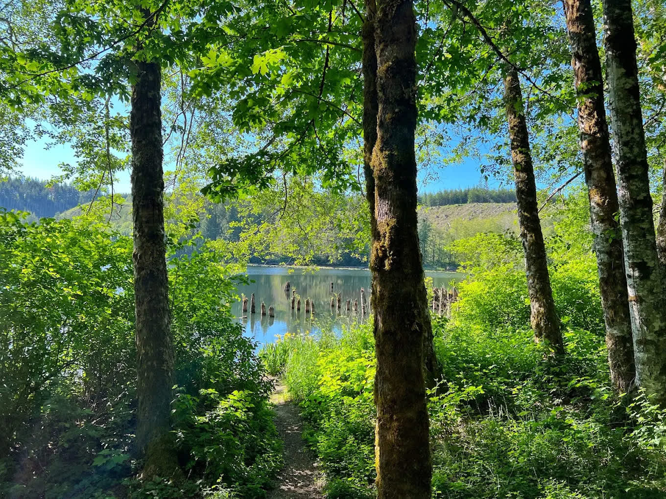Grandy Lake Park - Hipcamp in Concrete, Washington