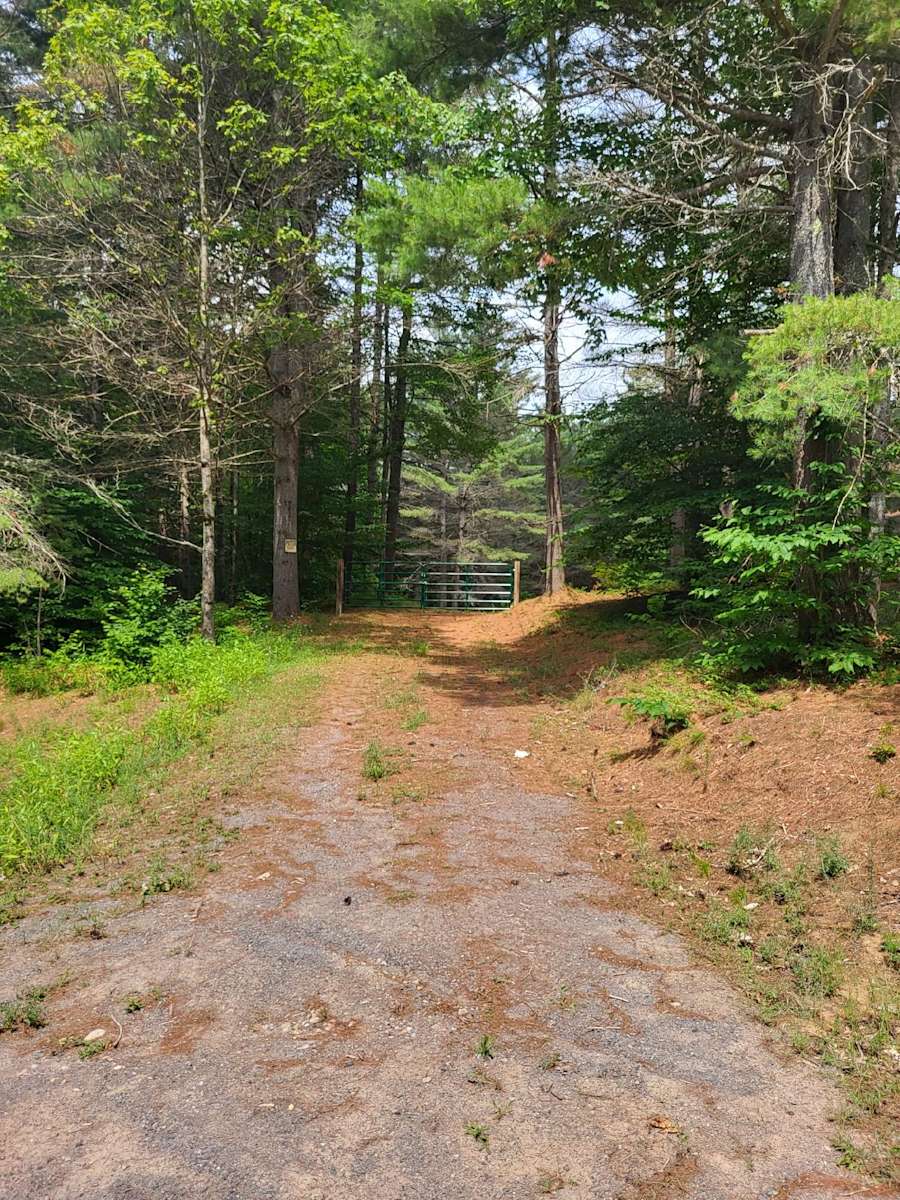 Singing Pines II - Hipcamp in Brantingham, New York