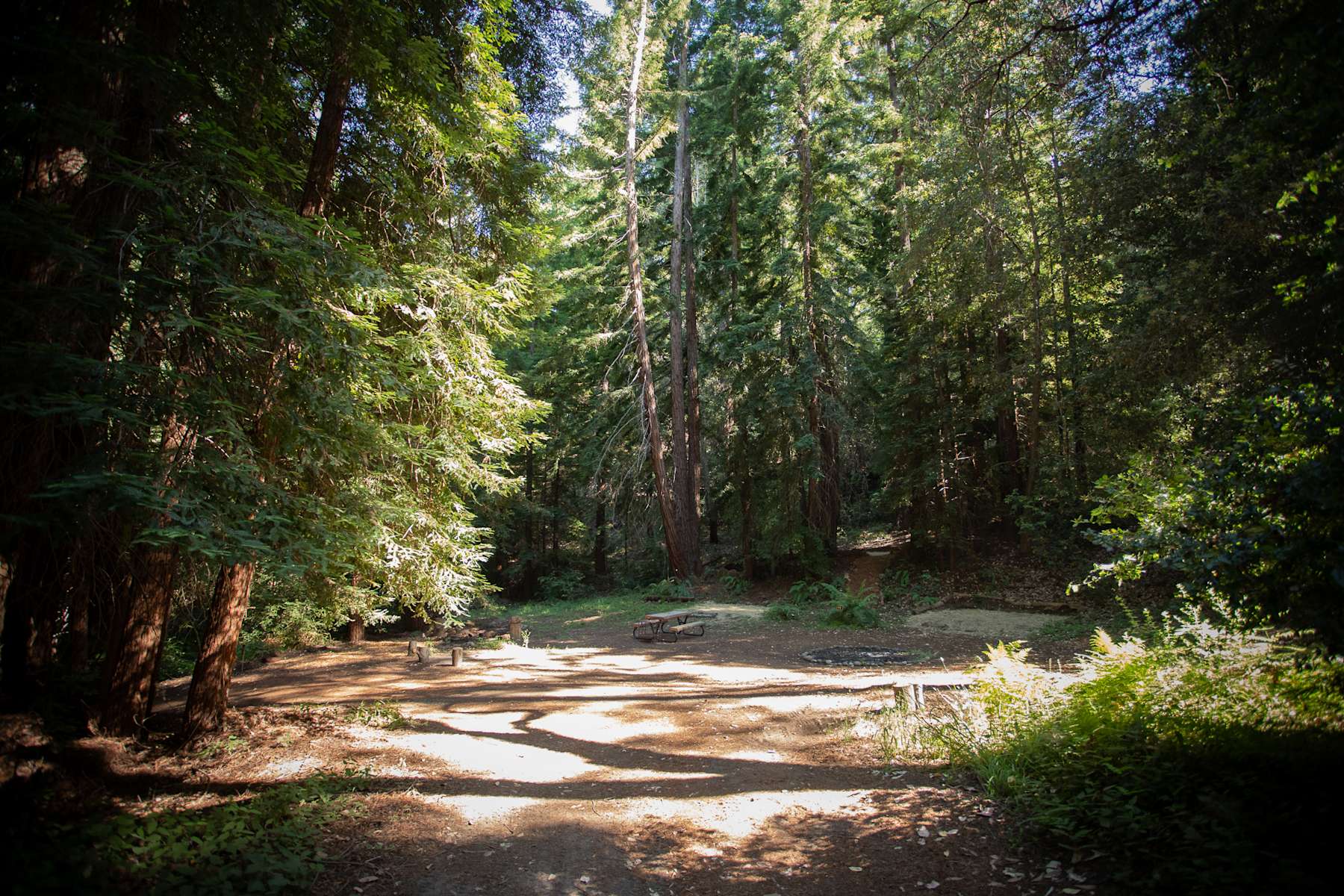 Sacred Earth Retreat (SER) - Hipcamp in Boulder Creek, California