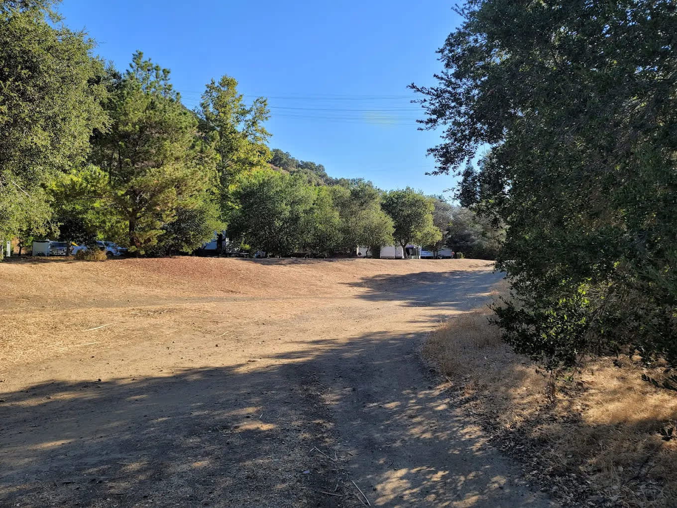 Uvas Pines RV Park - Hipcamp in Morgan Hill, California