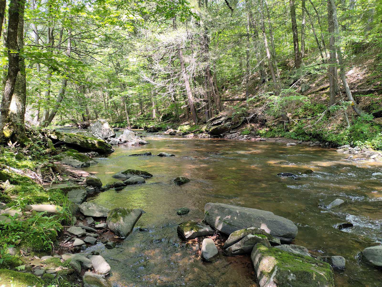 Brookland - Hipcamp in Milanville, Pennsylvania