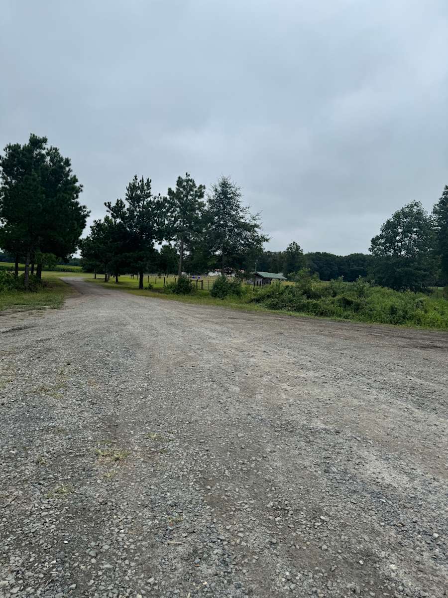 KH Performance Horses - Hipcamp in Templeville, Maryland