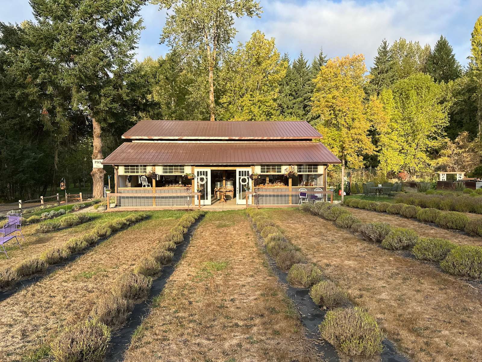 Pace Family Lavender & Hobby Farm - Hipcamp in Adna, Washington