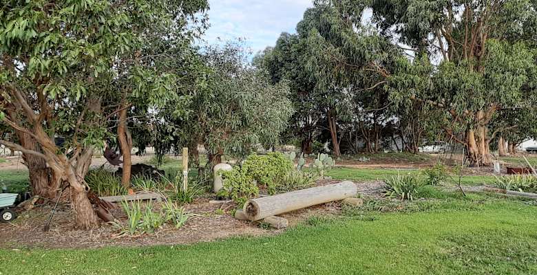 Discover the best farm campgrounds near Warrnambool, Victoria