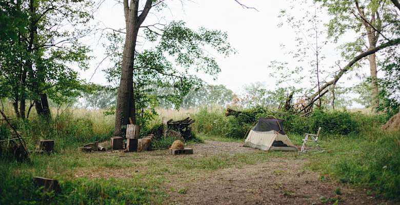 Discover the best forest campgrounds near Dearborn, Michigan